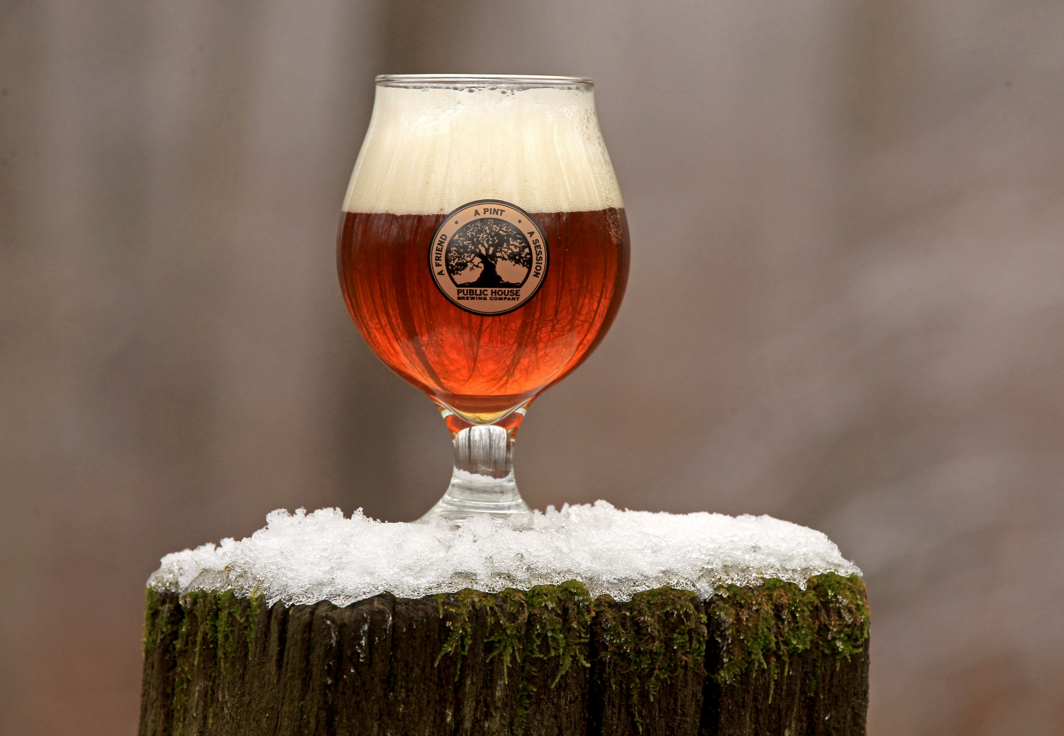 Elusive IPA - Public House Brewing Company